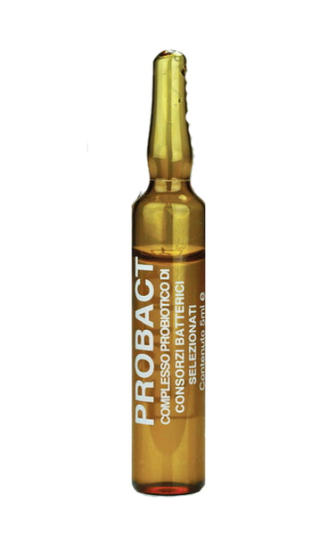 Equo Probact 1 amp. | Sklep eRybka.pl - akwarystyka morska