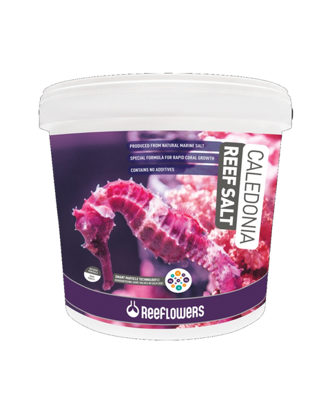Sól do Akwarium ReeFlowers Caledonia Reef Salt 22,5kg | Sklep eRybka.pl - akwarystyka morska