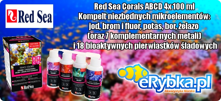 Akwarystyka morska - akwarium morskie, akwaria na wymiar | Sklep eRybka.pl